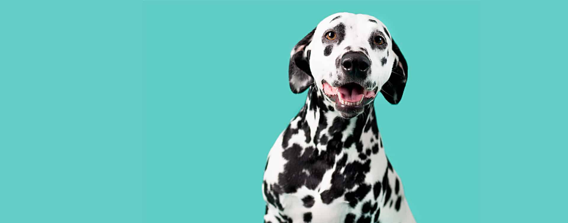 Interpath Global - Home