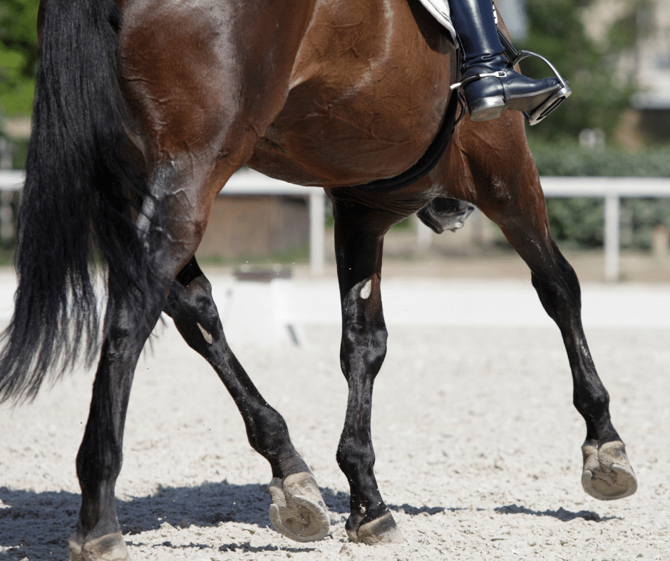 Interpath Global - Home